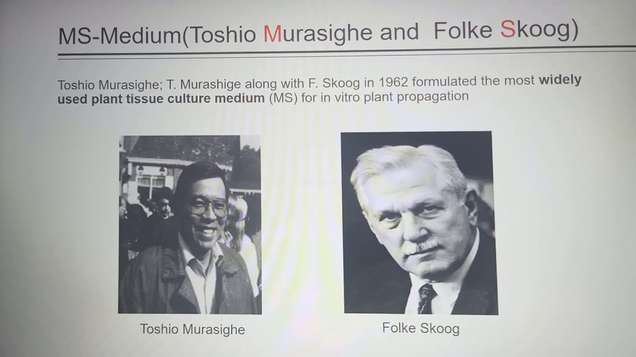 ABT 301 Invention of MS medium  by Dr.S.Elayabalan