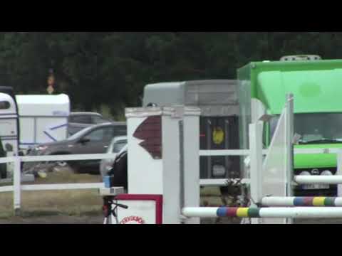 Hot Shot, MsvB & MsvA, Västervik
