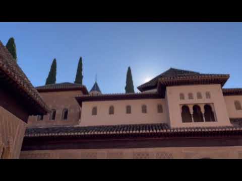 VID 20231215 WA0023