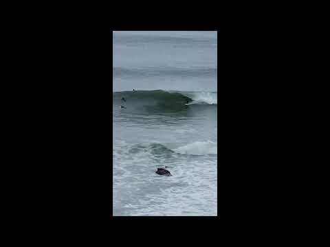 Getting barreled at Lunada bay surfing palos verdes December 29 2022
