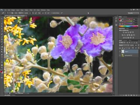 PHOTOSHOP CS6 Giáo Trình Căn Bản từ 8 đến 10 KS Dương Trung Hiếu