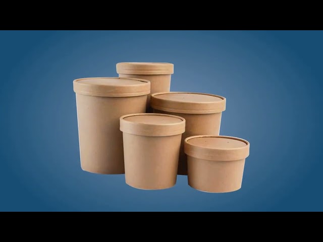 Paper Tubs - 500 Ml Paper Tub With Lid Manufacturer from Vasai