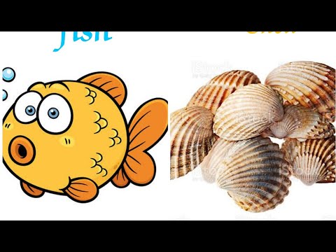 Digraph Sound of "sh " in the beginning and at the end.