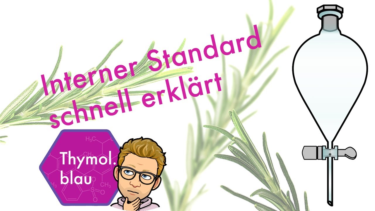 Interner Standard schnell erklärt