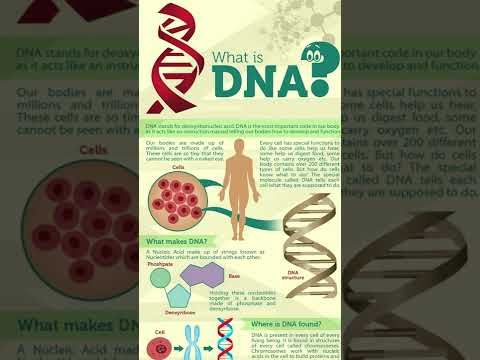 What is DNA and its use || Science