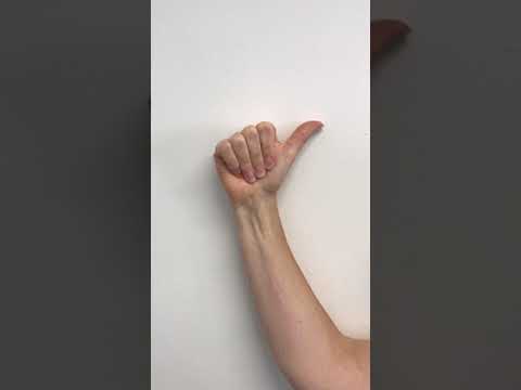 Tendon glides: MCP full flexion