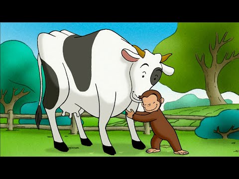 George Meets Some Hungry Cows π π΅ Curious George π΅ Animal Friends