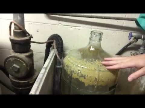 Carboy - Glass Carboy Latest Price, Manufacturers & Suppliers