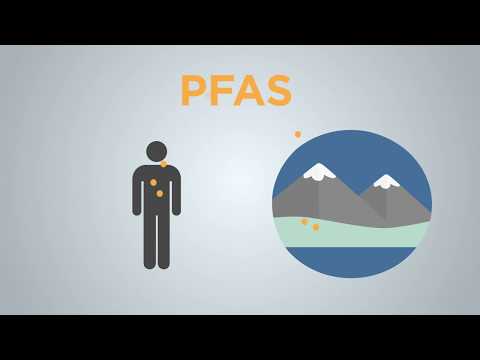 What are PFAS compounds and how can they affect human health? | AKPM News