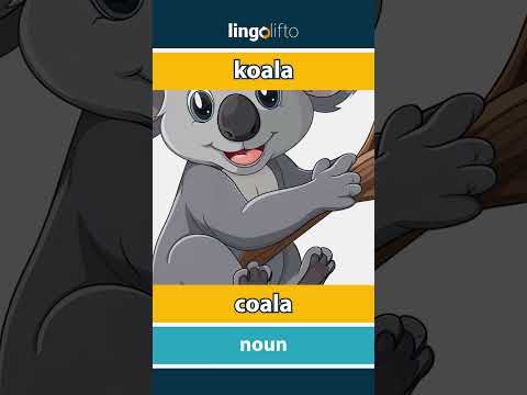 🇬🇧🇪🇸 koala - coala : vocabulary builder : learn English : aprendamos inglés