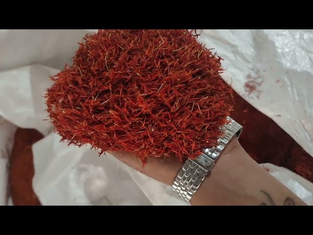 Herbal Flowers - Dried Akarkara Flower Manufacturer from Neemuch