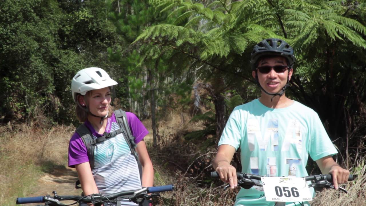 Introduction to forest ecosystem services