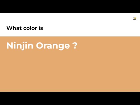 Ninjin Orange color #e5aa70 hex color - Yellow color - Cool color e5aa70
