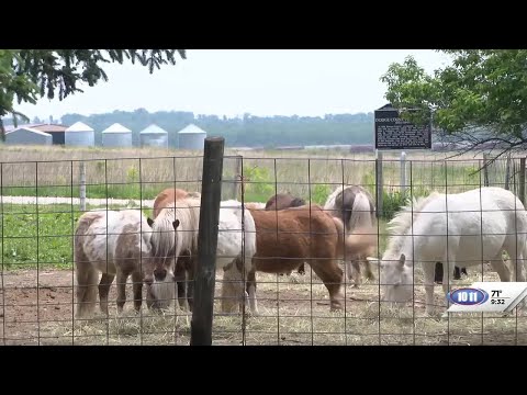 Dodge County Poor Farm now serves as an animal sanctuary