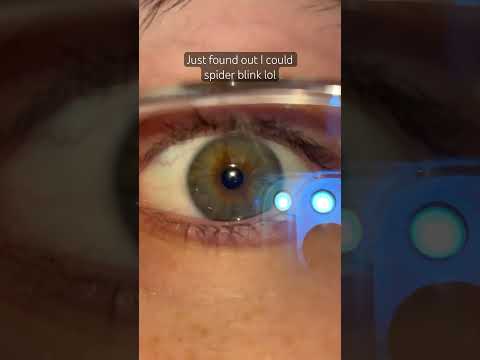 Spider blinking #eyes #hazeleyes #eyetrend