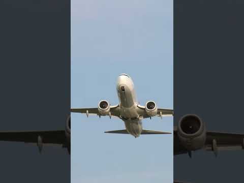 STUNNING B737MAX Turkish Airlines Takeoff at Nuremberg Airport #boeing #takeoff