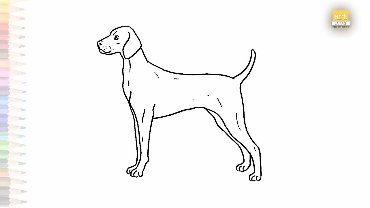 German Shorthaired Pointer dog drawing easy | Art tutorial | How to draw Pointer dog  #artjanag