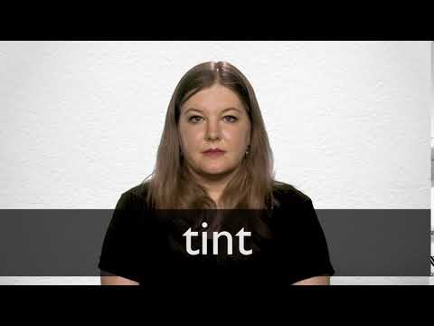 How to pronounce TINT in British English