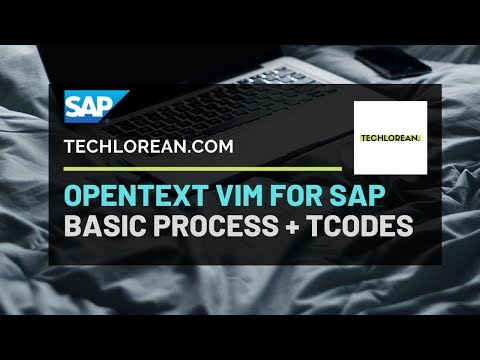 OPENTEXT VIM FOR SAP | BASIC PROCESS AND TCODES | OCR, E-INVOICING, ICC, 3WAY MATCH, ETC.