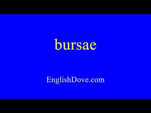 How to pronounce bursae in American English