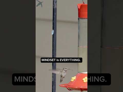 MINDSET is EVERYTHING