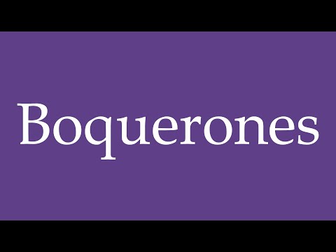 How To Pronounce ''Boquerones'' (Anchovies) Correctly in Spanish