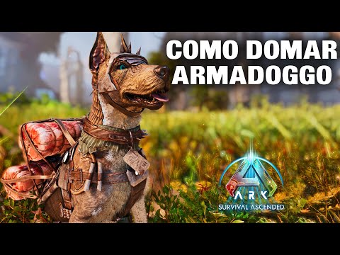 Steam Community :: Video :: COMO DOMAR + LOCALIZAÇÃO E TODAS AS ...