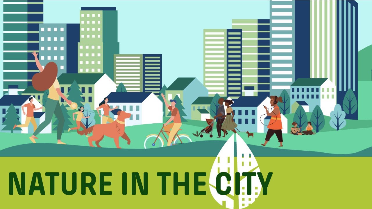 Nature in the city: turning knowledge into urban forestry practice