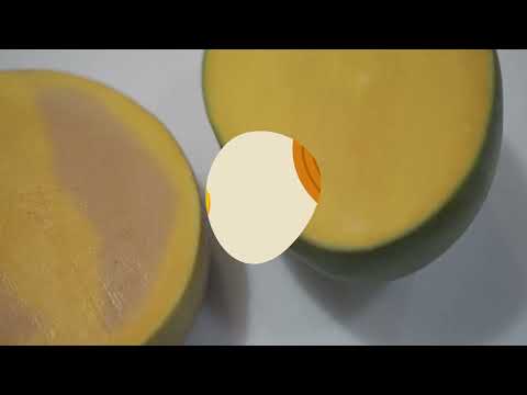 Mango temperature management recommendation