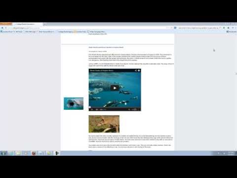 How to: Get Video Embed Code | YouTube