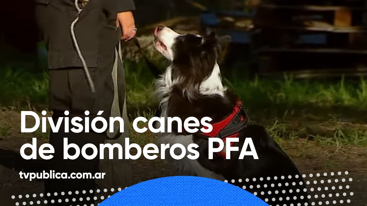 Búsqueda de Goyco - Todos Estamos Conectados