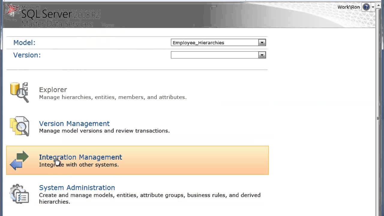 SQL Server 2008 R2 Master Data Services Interface