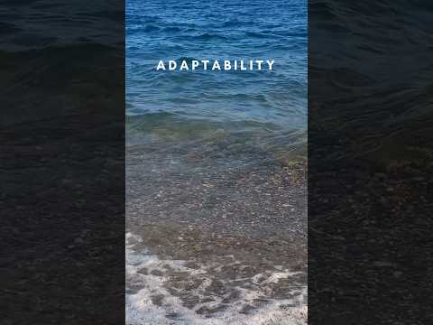 Meaning of Adaptability #shorts
