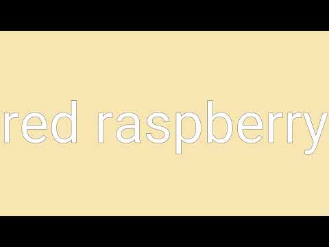 Red Raspberry Definition & Meaning