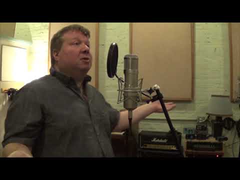 AEG MKL-47 U47 Microphone Clone - Handwired, Point to | Reverb UK