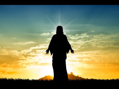 Cómo resucitar un pollo