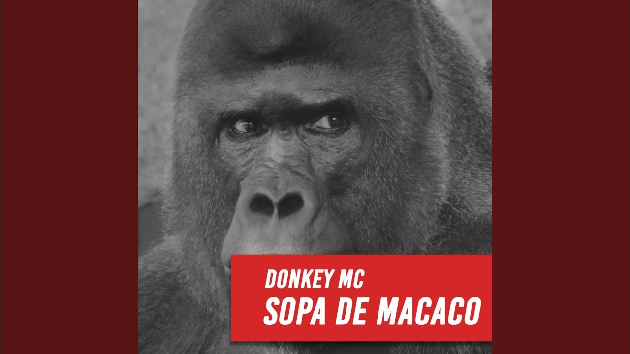 Sopa de Macaco (Original Mix)