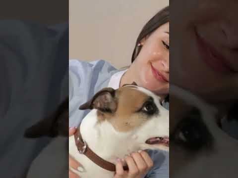 Can I leave my dog home alone for 12 hours?