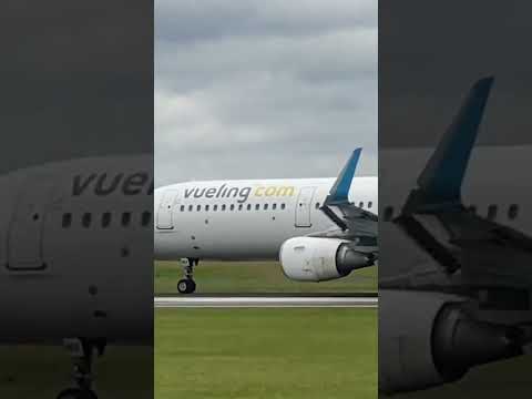 Vueling Airlines : Ready To Fly High 🩵✈️🩵