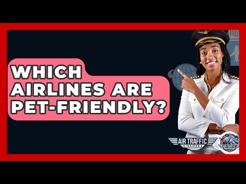 Which Airlines Are Pet-Friendly? - Air Traffic Insider