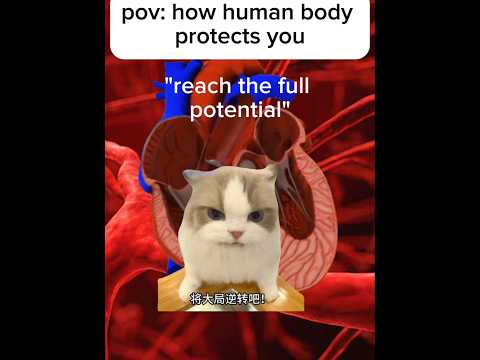 CAT MEMES 😺 How human body protects you #shorts #catmemes #funny #relatable #funnyvideo #cat