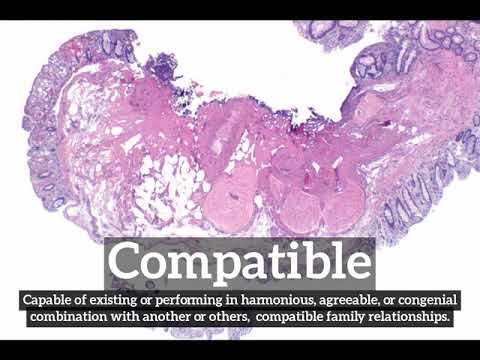 What is Compatible? | How Does Compatible Look? | How to Say Compatible in English?