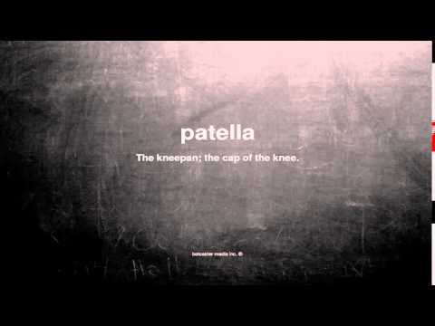 What does patella mean