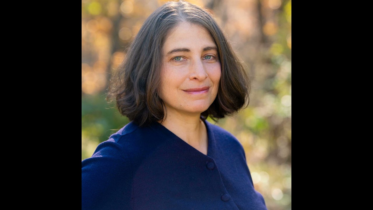 Iowa Caucuses over for Democrats? Editor of Bleeding Heartland explains reasons behind exit.