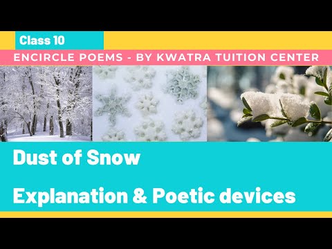 Dust of Snow Class 10 explanation and poetic devices Video Lecture