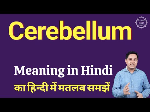 Cerebellum meaning in Hindi | Cerebellum ka matlab kya hota hai