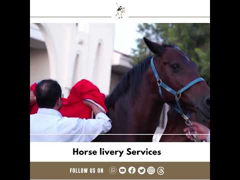 Horse Livery renting services