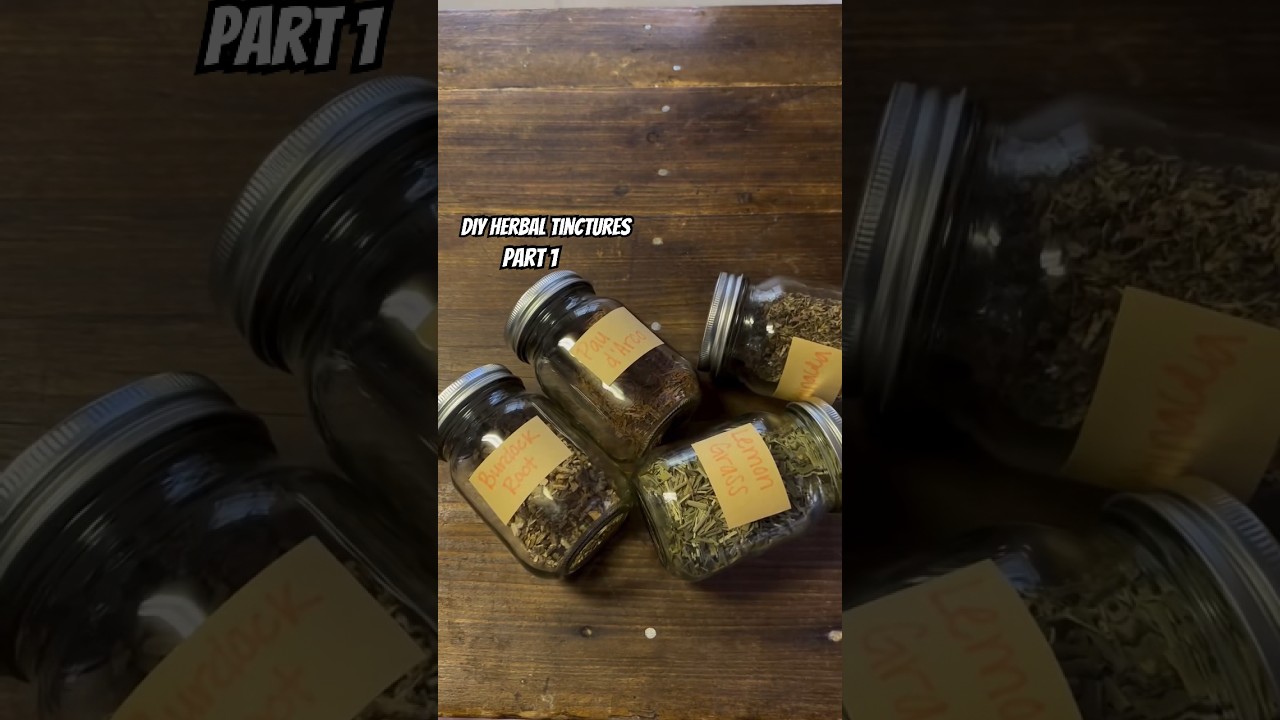 6 Herbal Tinctures for Immunity: DIY Winter Wellness Recipes #HerbalRemedies