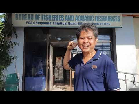 visiting The Bureau of fisheries aquatic resources (BFAR)