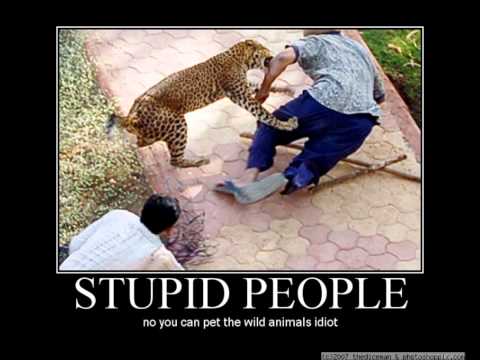 worlds stupidest people